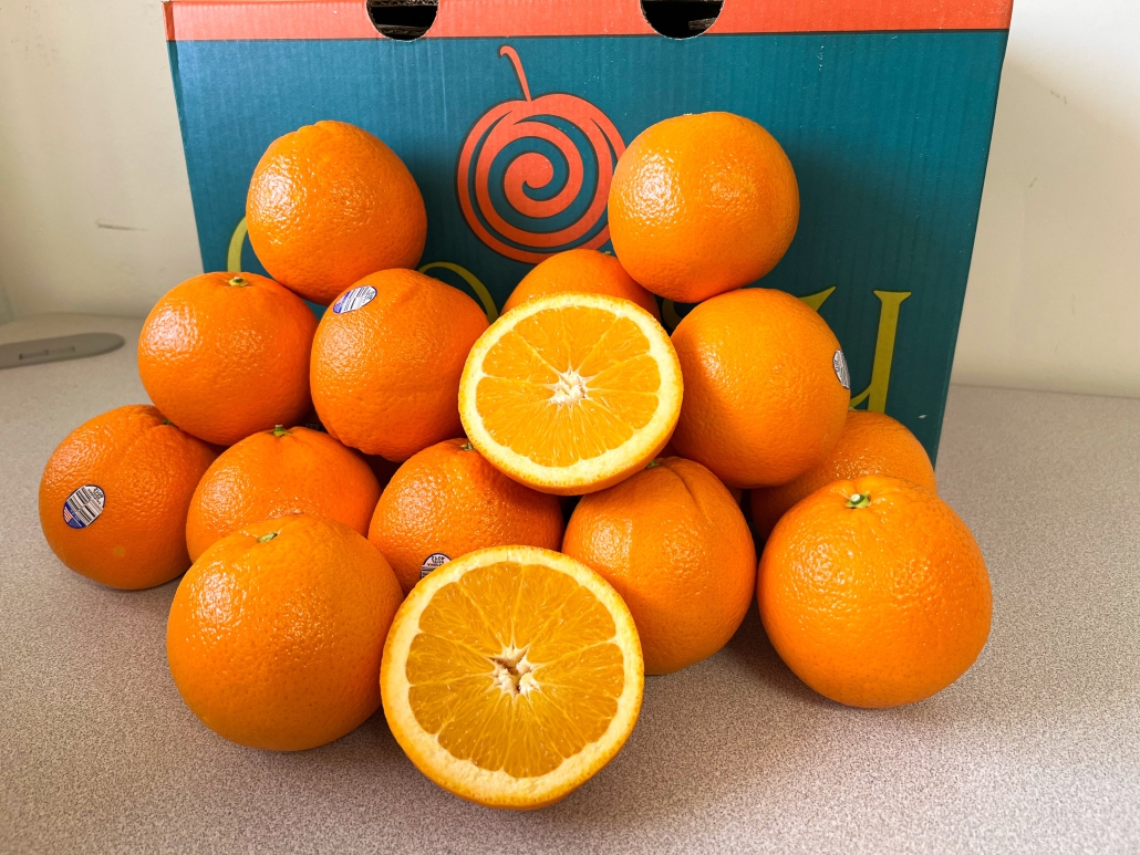 Oranges - Classic Harvest